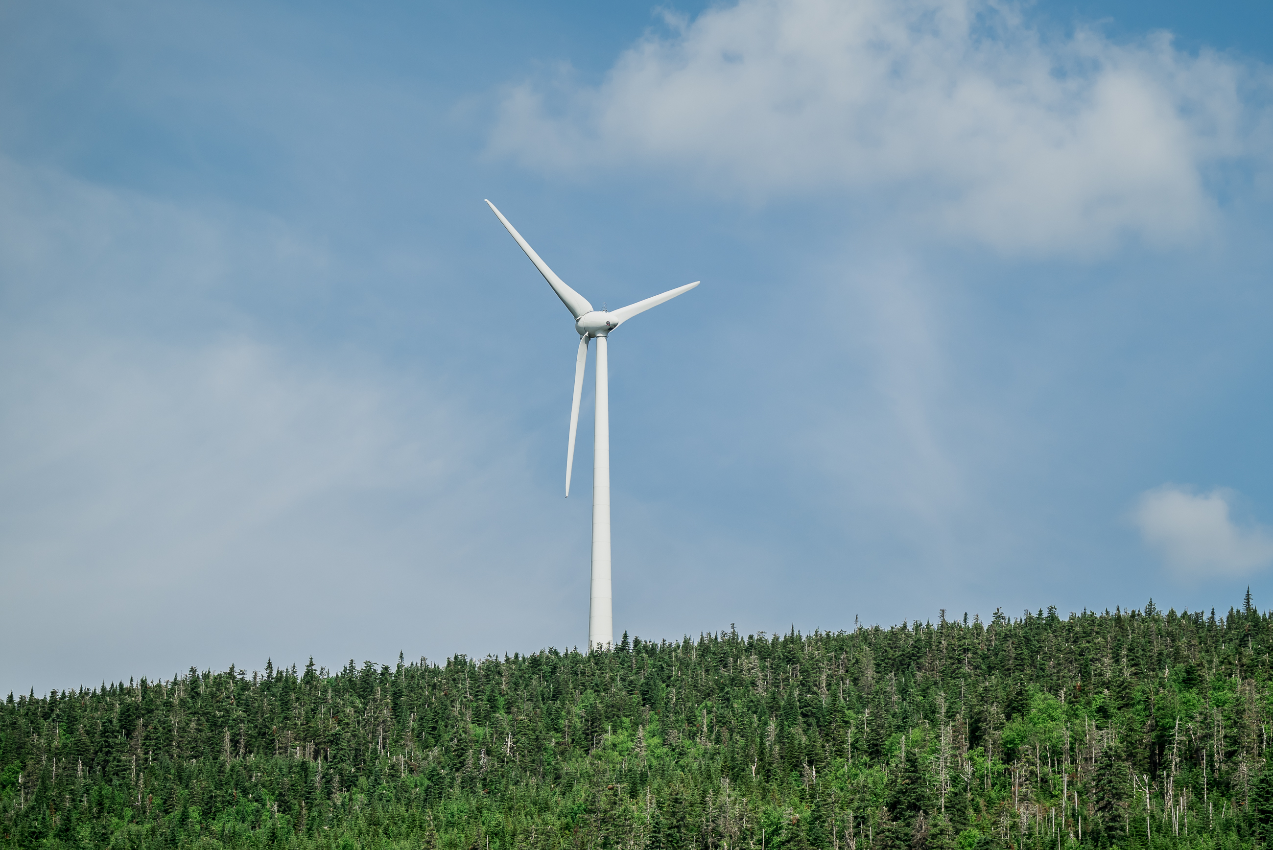 News | Sustainability and renewable Energy by Boralex | Boralex UK
