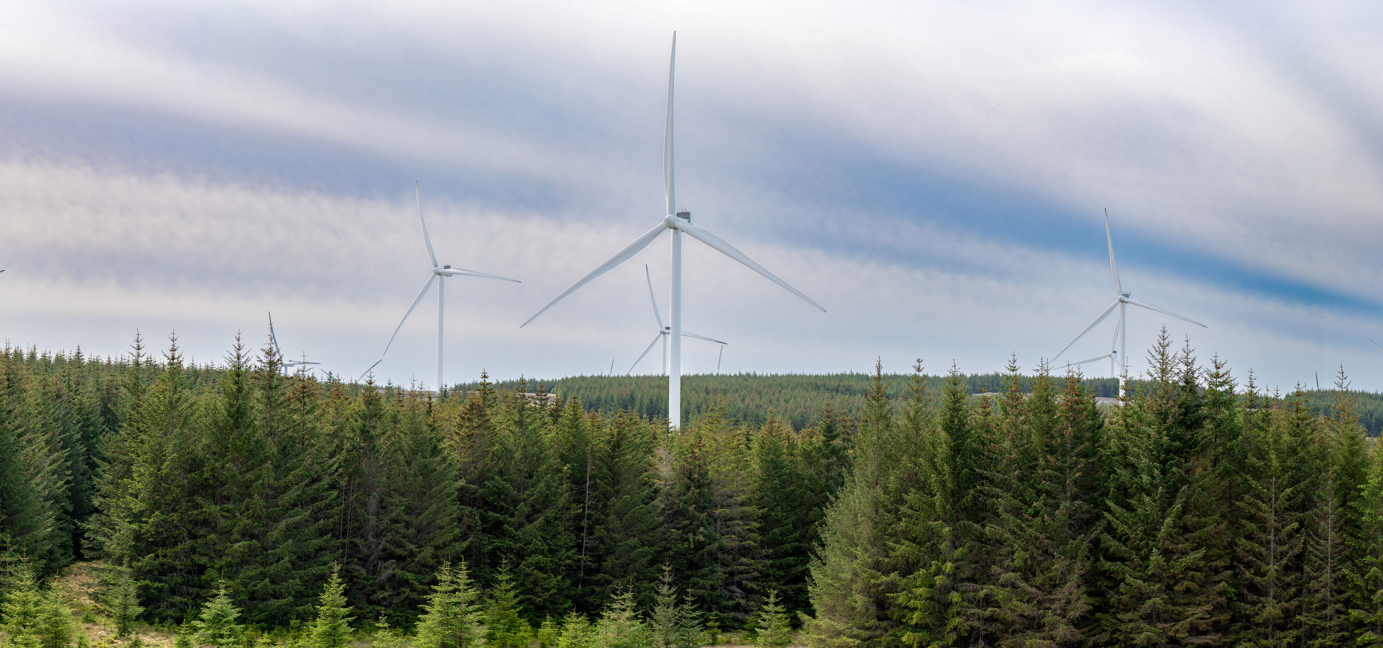 Sallachy Wind Farm Project in Sutherland | Boralex UK